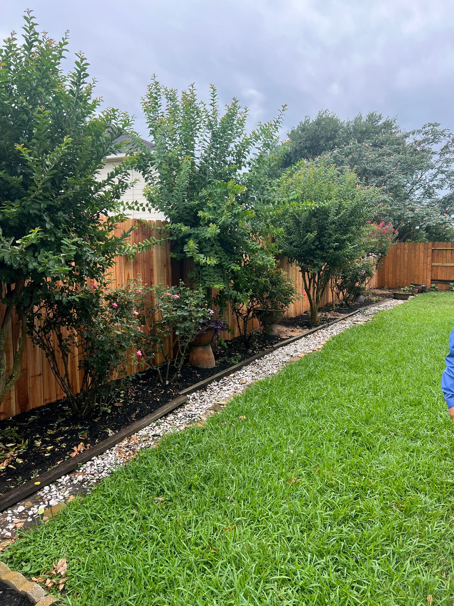 A Beautiful Red Western Cedar Privacy Fence for Emilyn in Katy, TX ...